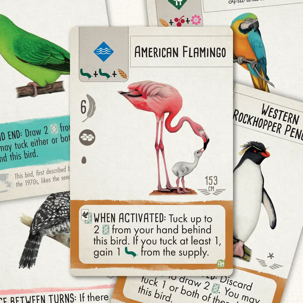 Wingspan Vision-Friendly Cards: Americas Expansion – Stonemaier Games ...